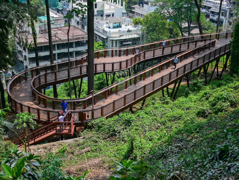 Malabar Hill Elevated Nature Trail – The Voice of Malabar Hills